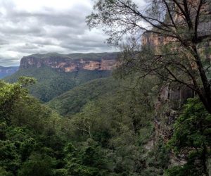 Beauchamp Falls, Blue Mountains | Waterfalls NSW